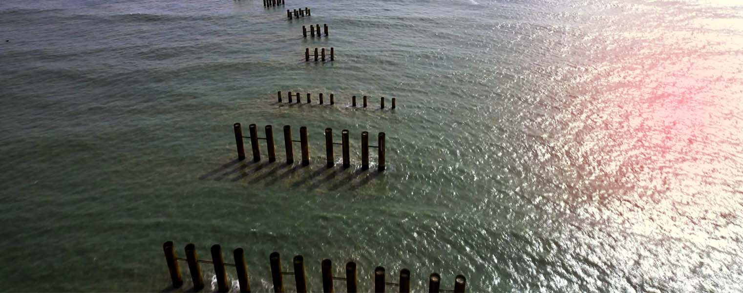 APCO Infratech Private Limited